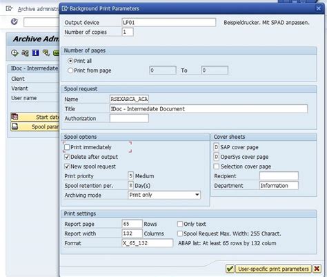Sap Basis Support Issues And Solutions Sap Archiving Idocs In Sap