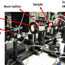 PDF Reference Free Shack Hartmann Wavefront Sensor