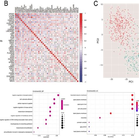 Differentially Expressed Genes And Pathway Enrichment Analysis A