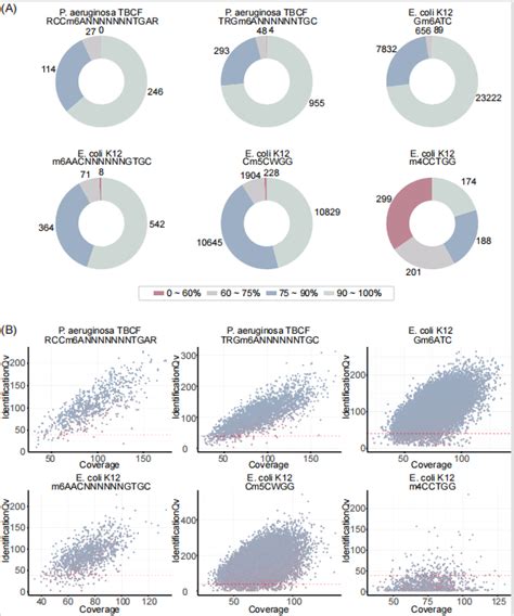 Imeta 南科大杨亮 刘洋 开发研究细菌dna甲基化组及其转录调控工具bacmethy Csdn博客