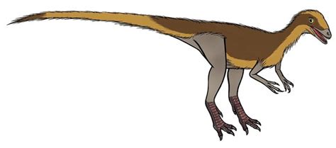 Tiny But Deadly Compsognathus Vs Microraptor Dino World