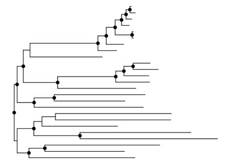 Phylogenetic Trees