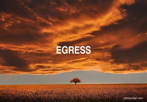 2 Arti Kata Egress Kamus Bahasa Inggris Terjemahan Indonesia