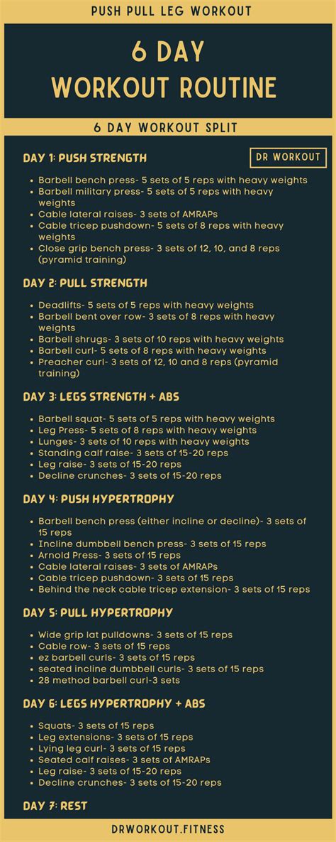 6 day workout split routine with pdf dr workout