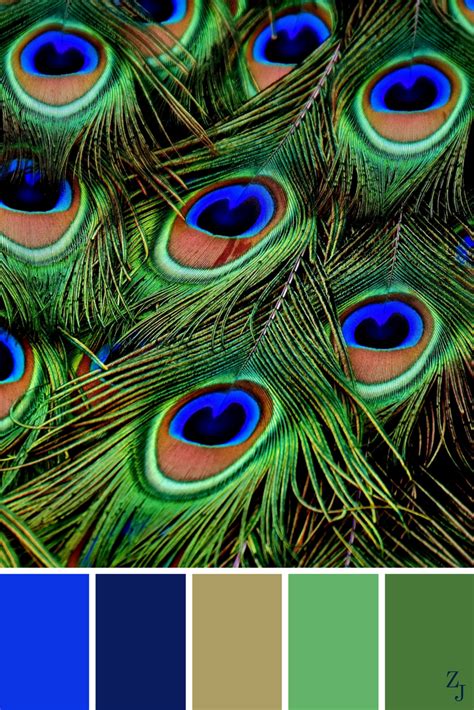 Peacock Feathers Color Palette With Hex Codes For Nail Art Graphic