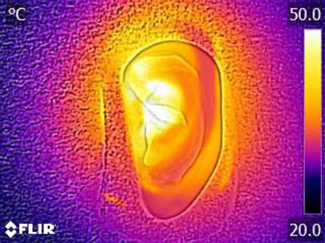 Apple AirPods Max Wireless Review RTINGS Com