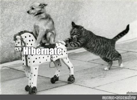 Meme Hibernate All Templates Meme