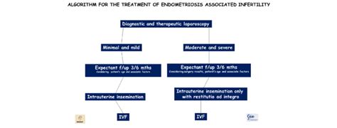 Algorithm Proposed By The Author For The Treatment Of Download Scientific Diagram