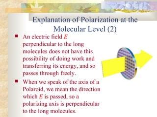Polarization PPT
