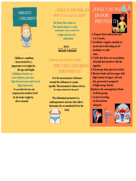 Brochure On Overweight And Obesity Pdf Obesity Body Mass Index