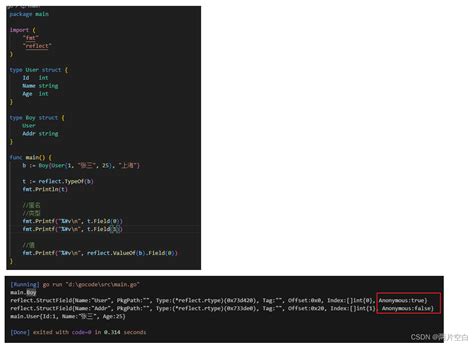 Golang——reflect反射golang Reflect Csdn博客