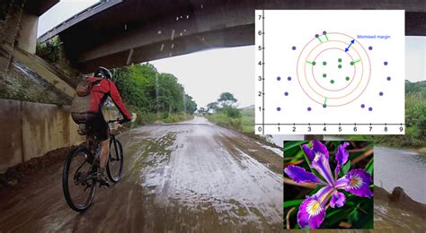 Support Vector Machines Multinomial Example Towards Data Science