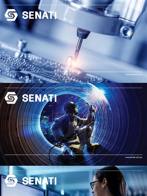 Semana 3 4 5 Estructura Del Texto Pdf Oración Lingüística