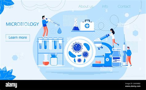 Mitochondrie Microscope Banque Dimages Vectorielles Alamy