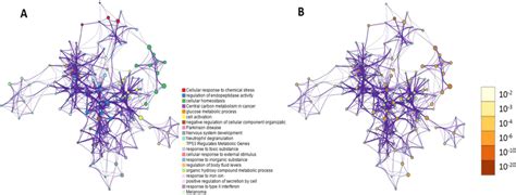 Network Of Enriched Terms A Colored By Cluster Id Where Nodes That Download Scientific