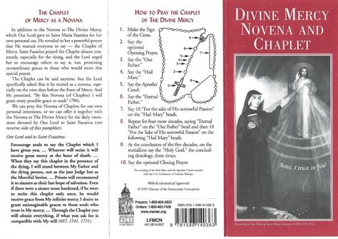 Chaplet Divine Mercy Novena Divine Mercy Jesus And How To Pray Rosary