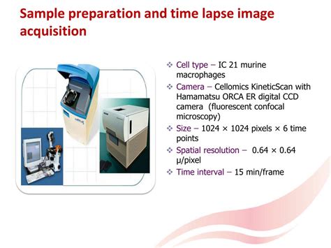 ppt sub population analysis based on temporal features of high content images powerpoint