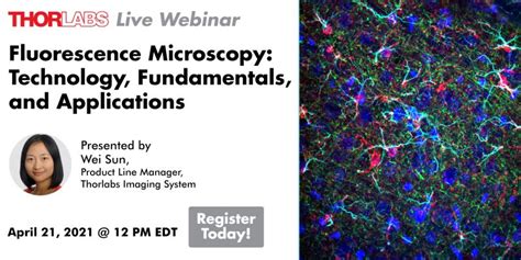 Thorlabs On Linkedin Fluorescence Microscopy Optics