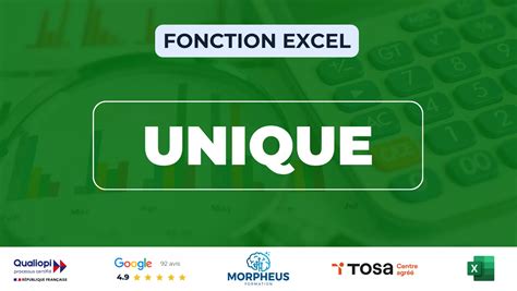 tout savoir sur la fonction unique excel 🚀 [exercice et vidéo]