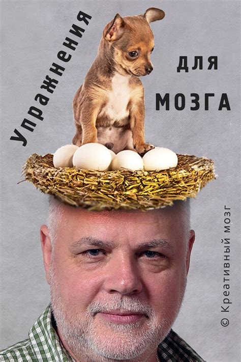 Упражнения для мозга Упражнения Тренировка мозга Аэробика