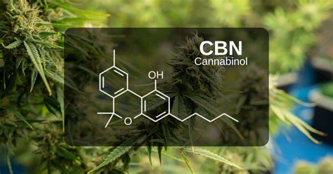 Cannabinol Cbn Natures Sleep Aid