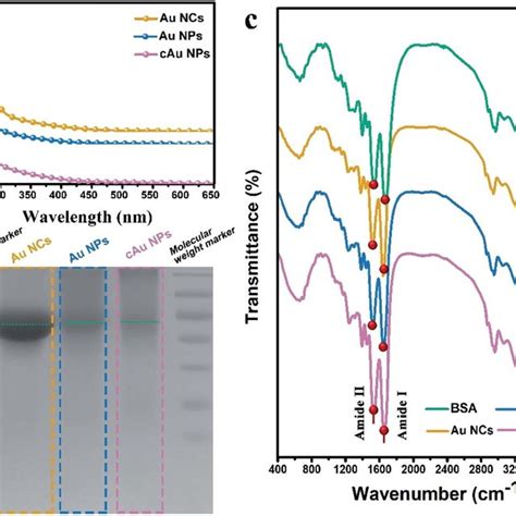 Characterization Of The Three Types Of Nanomaterials A Download Scientific Diagram