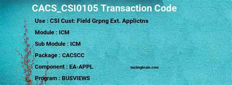 Cacs Csi0105 Sap Tcode For Csi Cust Field Grpng Ext Applictns