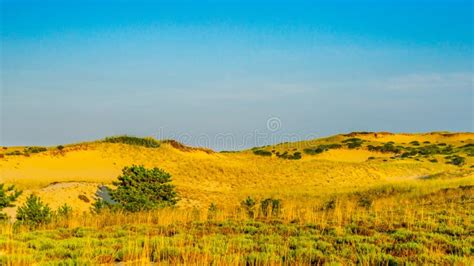 Sand Dunes And Grass Of The Provincelands Cape Cod Ma Us Stock Image