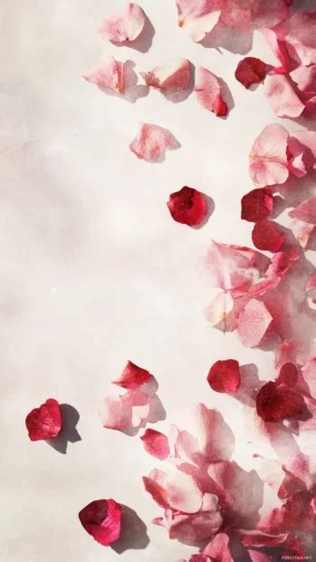 Aesthetic Lock Screen Wallpapers Pixelstalk