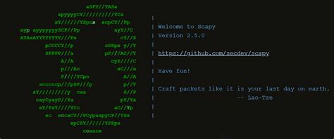 Python之scapy1基础使用python Scapy Csdn博客
