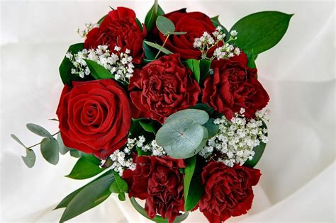 배경 화면 장미 카네이션 꽃들 아기 숨 꽃다발 녹색 1800x1200 Goodfon 1072712 배경 화면 Wallhere