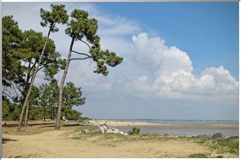 Plage De Gatseau