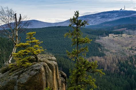 Die Top 10 Nationalparks In Deutschland