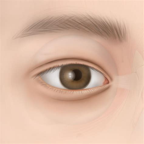 Premium Psd Human Eye