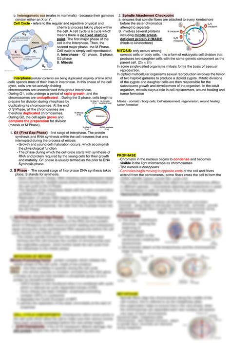 Solution Cytogenetics Heredity Chromosome Mitosis Meiosis Cell