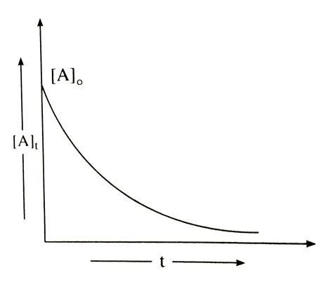 Explain Graphical Representations Of The First Order Reaction Sarthaks EConnect Largest