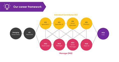 i ve got a career framework template—now what