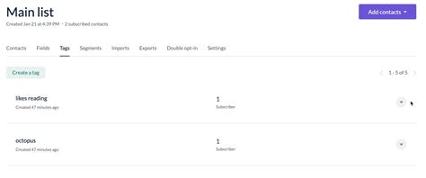 Using Tags Emailoctopus Knowledge Base