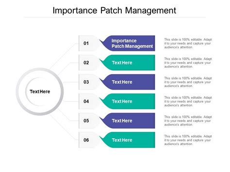 Importance Patch Management Ppt Powerpoint Presentation Infographic