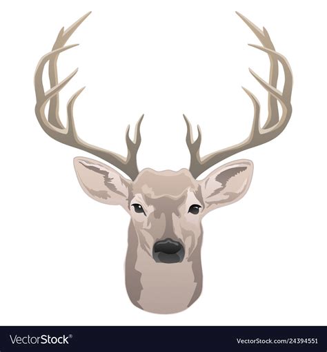 Deer Head Beautiful Buck With Antlers Royalty Free Vector