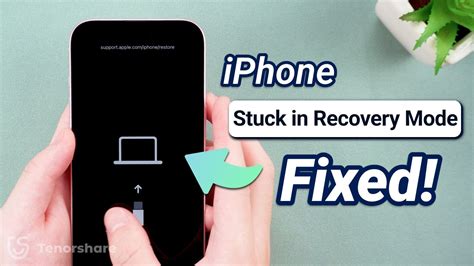 5 Ways To Fix Iphone Stuck In Recovery Mode 2025 No Data Loss Youtube