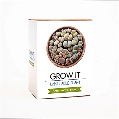 T Republic Grow It Unkillable Plant Grow Kit