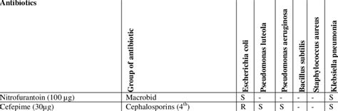 Antibiotic Susceptibility Test Of The Bacterial Isolates According To Download Scientific