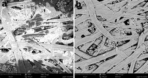 Sputter Coating Sem Sample Preparation Advancing Materials