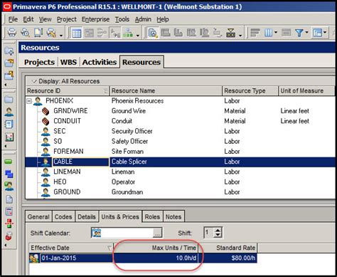 Ways To Handle Resource Over Allocation In Primavera P6 Professional
