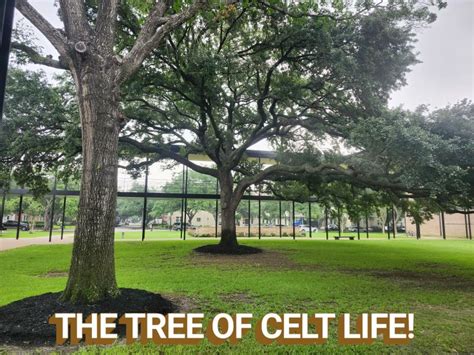 Angela Curnutt On Linkedin Ended My Freshman Year On A High Note Come On August Sophomore