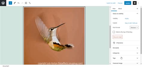 How To Embed Smugmug Images In Wordpress