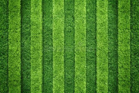 Green Grass Field Background Texture Pattern Perfect As Football