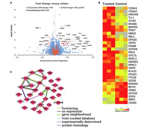 A Volcano Plot Demonstrating The Fold Change Of 7558 Protein Download Scientific Diagram