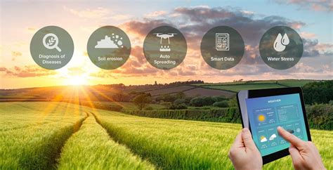 IoT Based Smart Agriculture System To Scale Up The Productivity Contus Tech